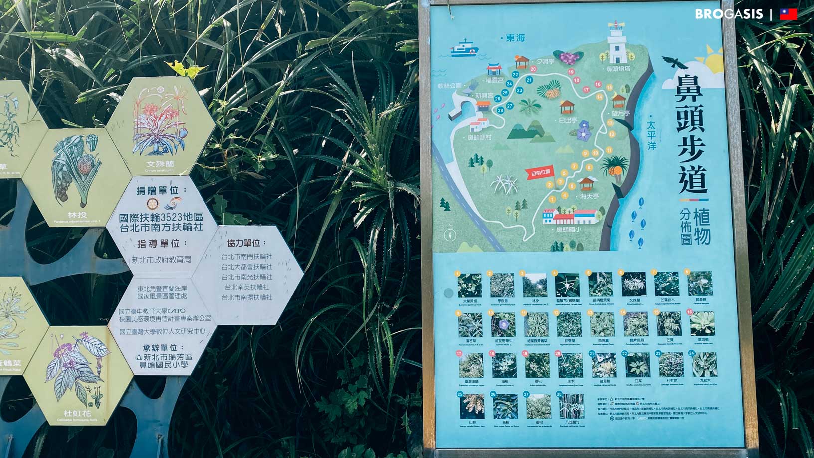 ปี๋โถวเจี่ยว Bitoujiao Trail เดินเขาชมวิวทะเล นิวไทเป ไต้หวัน - BROGASIS