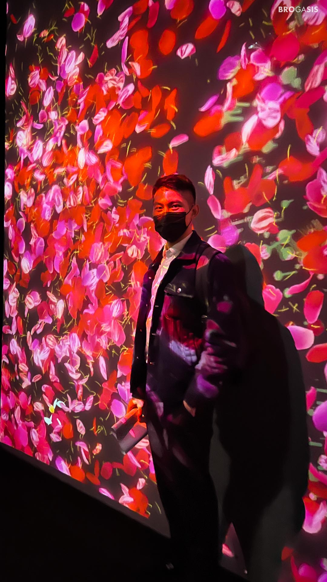 Teamlab ไต้หวัน นิทรรศการศิลปะ อินเตอร์แอคทีฟสุดล้ำจากญี่ปุ่น | Taipei ...