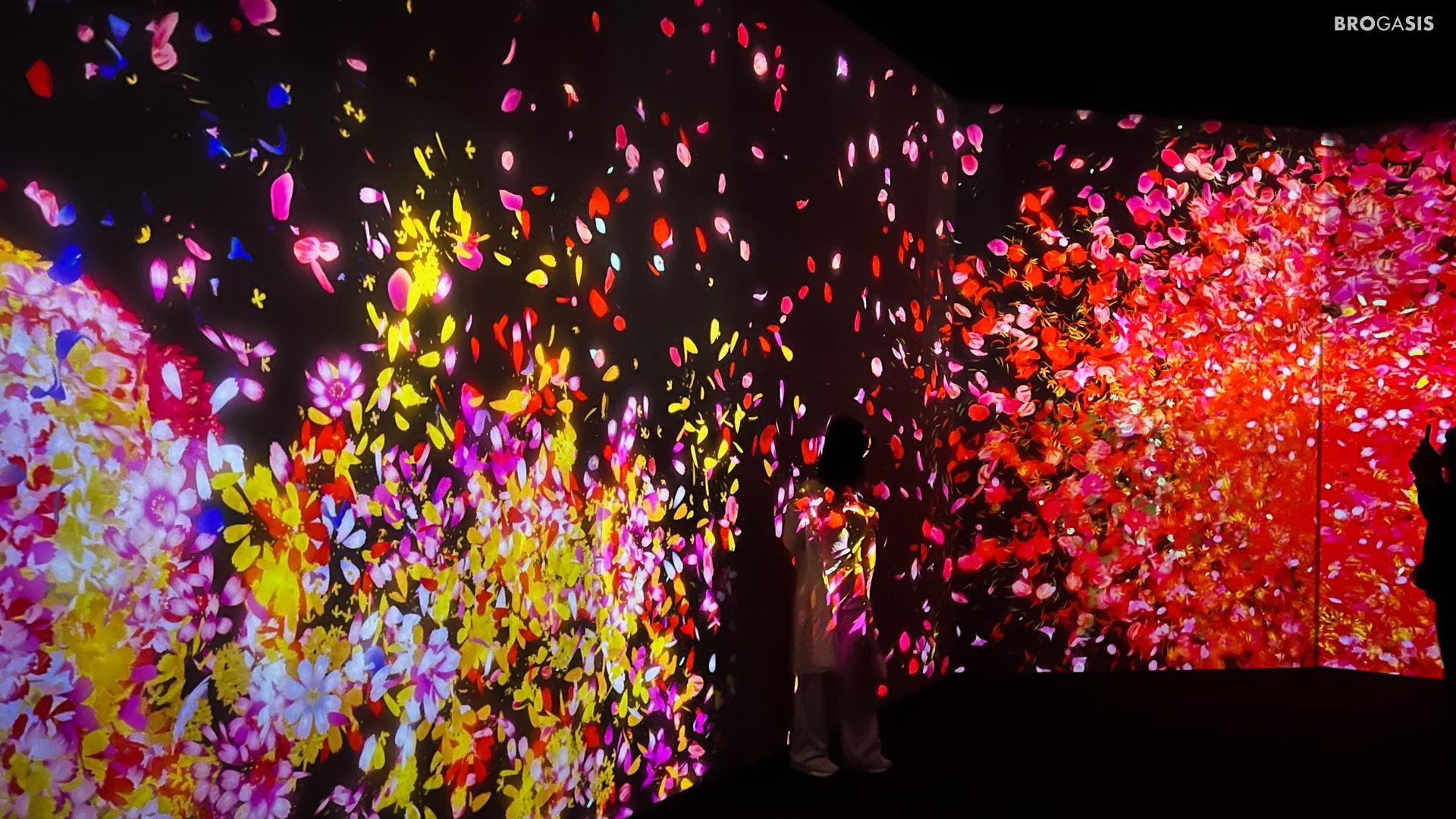 Teamlab ไต้หวัน นิทรรศการศิลปะ อินเตอร์แอคทีฟสุดล้ำจากญี่ปุ่น | Taipei ...